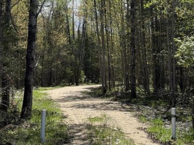 25 Acres # M28, Newberry, MI 49868