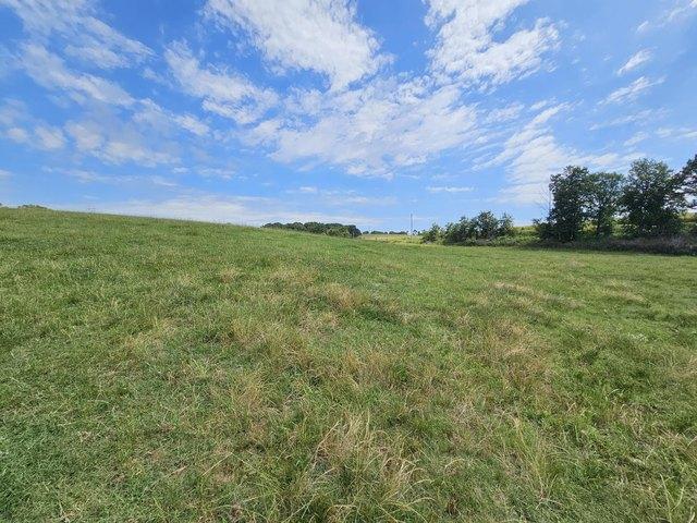 25 Acres State Highway F, Anderson, MO 64831