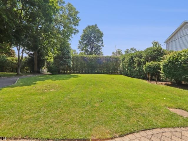 25 Alma Ave
