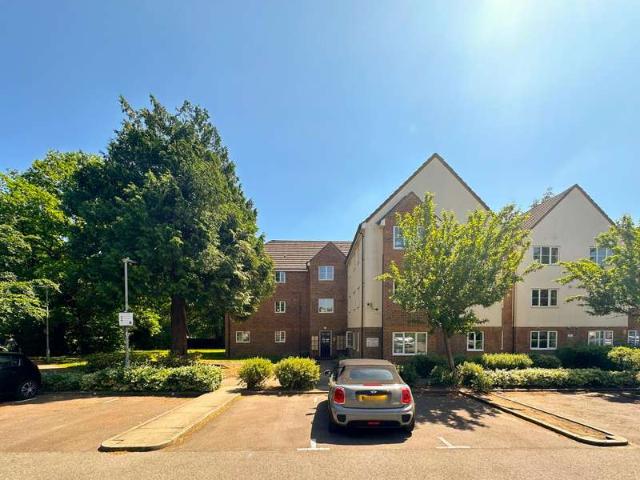 25 Bedroom Flat