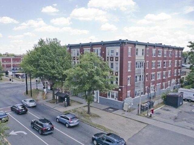 25 bedroom, Springfield MA 01109 105058801