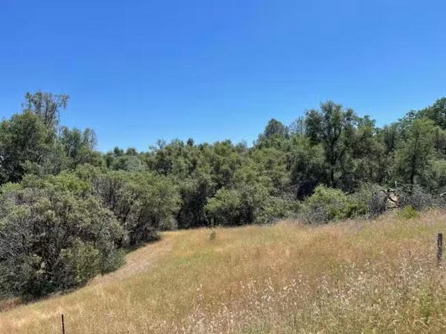 25 BOULDER CREEK JUNCTION, NORTH FORK, CA 93643 Vacant Land Fo.