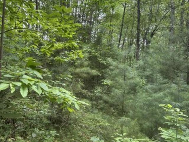 25 Camp Creek Estates Drive, Murphy, NC 28906
