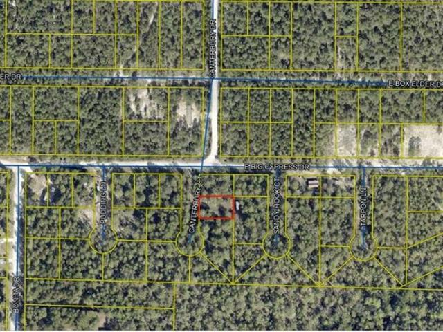 25 Canterbury Dr, Defuniak Springs, FL 32433