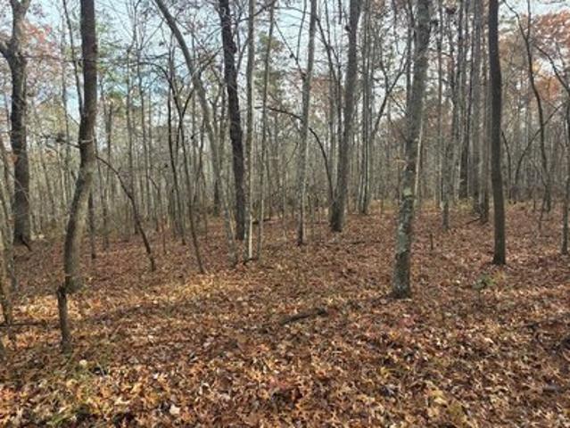 25 Down Pl, Monterey, TN 38574