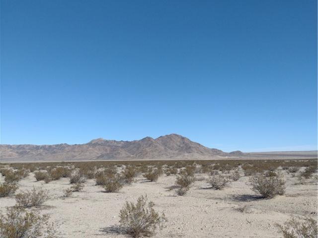25 Dune near Road