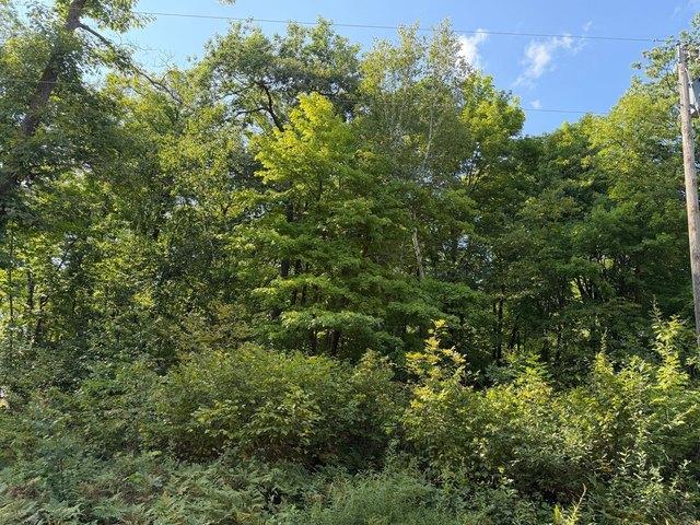 25 Eagle Ridge Rd, Aitkin, MN 56431