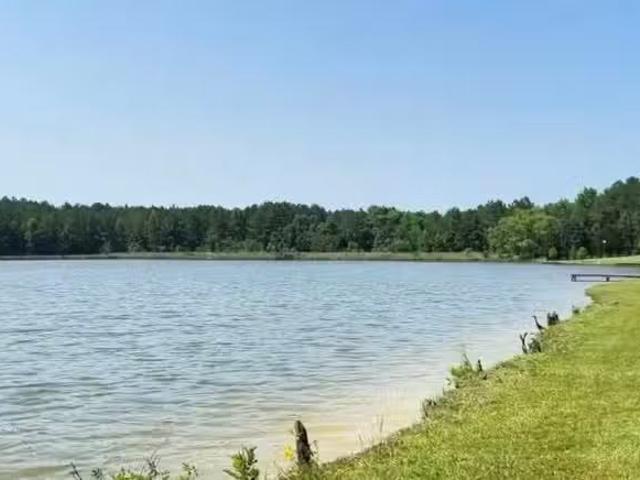 25 EDGEWOOD CT, MATHEWS, AL 36052