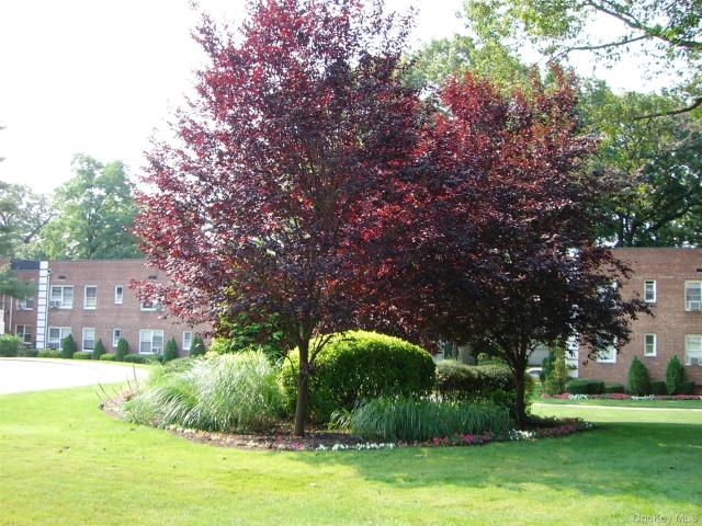 25 Edwards Street 2 E