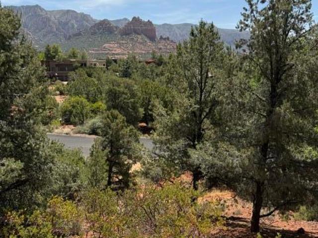 25 forest view trail # 1