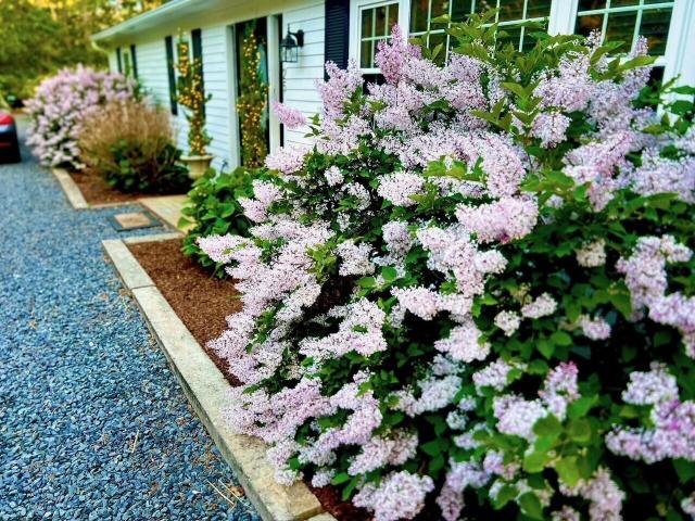 25 Frances Helen Rd, Yarmouth Port, MA 02675 | MLS #22601 | Compass