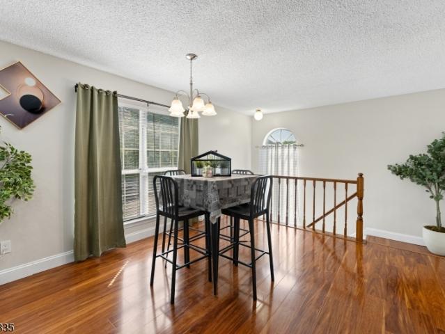 25 Holly St