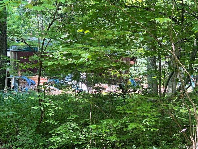 25 Hornbeck Ridge
