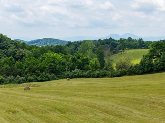 25 Koogler Trl, Raphine, VA 24472