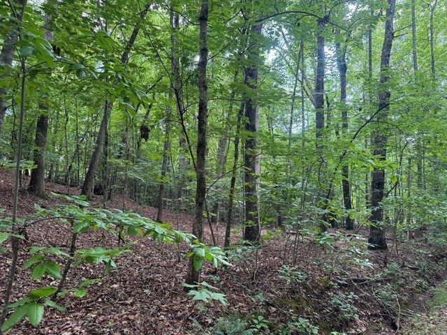 25 McCracken Cove Rd, Hayesville, NC 28904