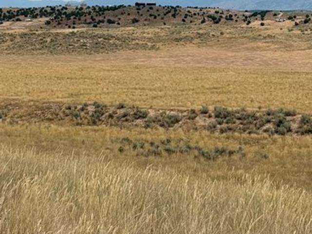 25 Old Dam Rd Unit 25, Levan, UT 84639