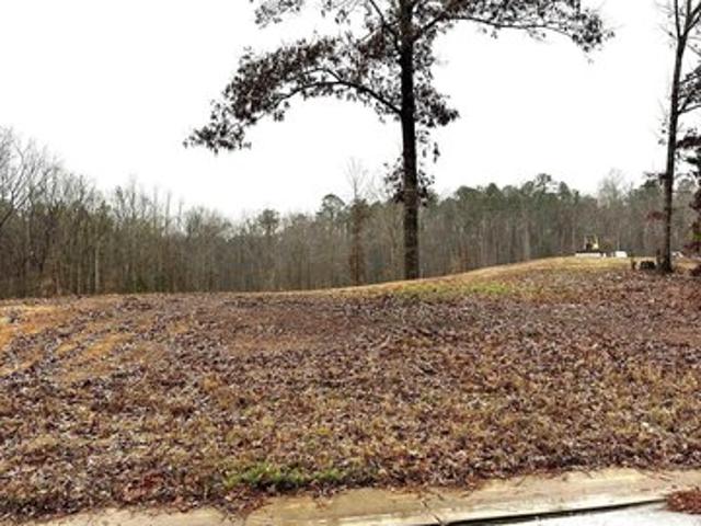 25 Olivia Ln Lot 1, Woodstock, AL 35188