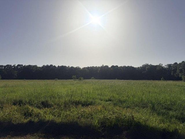25 Rack Rd Parcel 3, Picayune, MS 39466