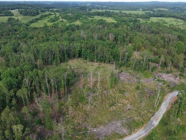 25A Kerley Point Rd, Elizabeth, AR 72531