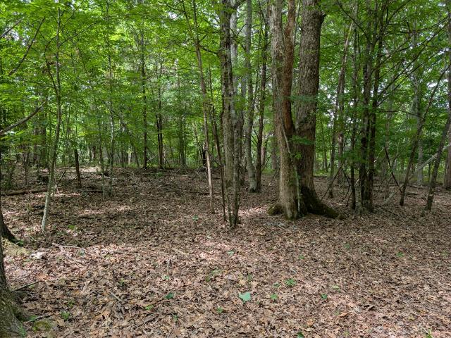 25AC Gains Hill Rd