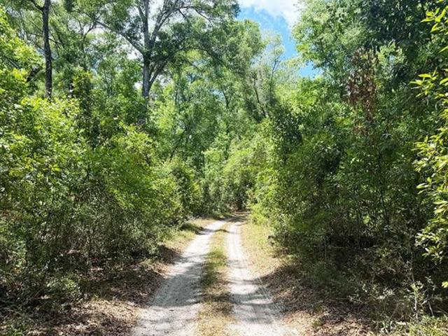 25th Pl, Branford, FL 32008
