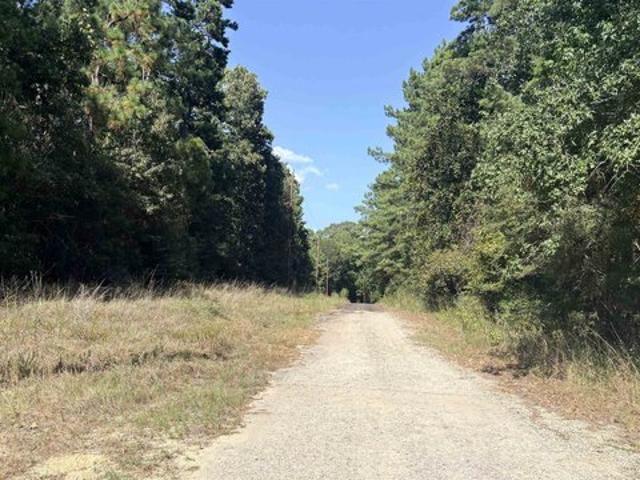 25th St Lots 28 & 29, Woodville, TX 75979