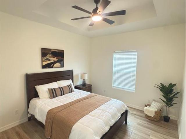 2604 Bald Cypress 2