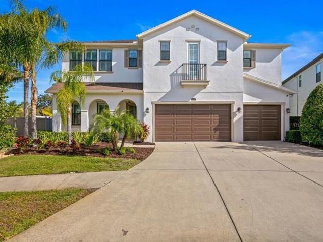 2607 Milford Berry Ln, Tampa, FL 33618