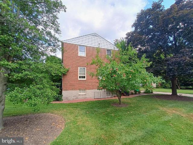 2607 Ivy Place