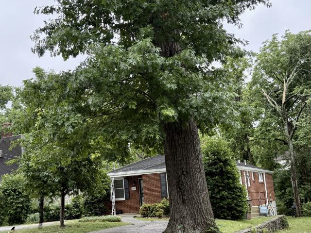 2607 W Linden Ave