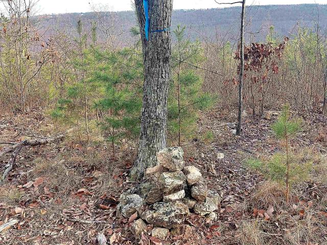 2609 County Road 239