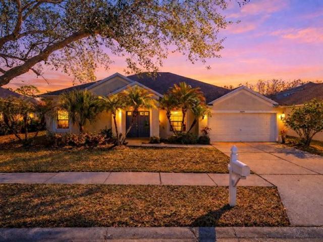 26000 Risen Star Dr, Wesley Chapel, FL 33544