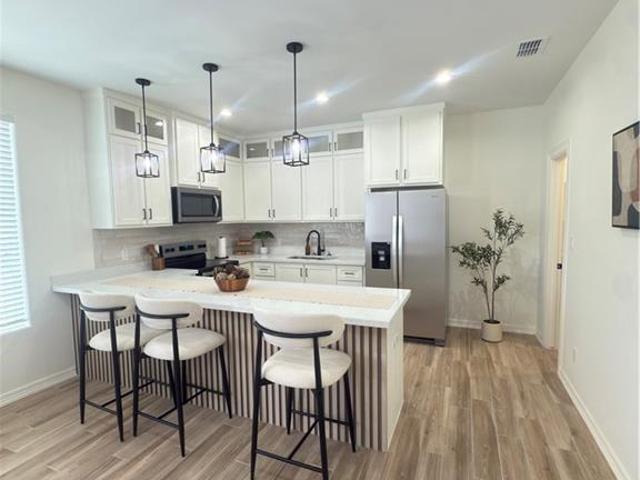 2600 Bald Cypress 2