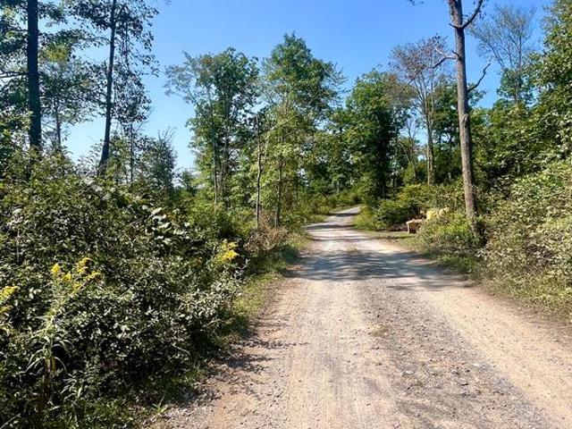 2600 Beech Creek Mountain Road