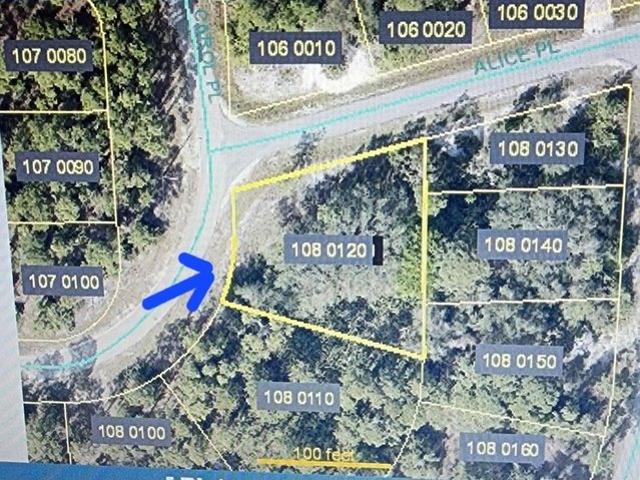 2601 Carol Pl, Lehigh Acres, FL 33971