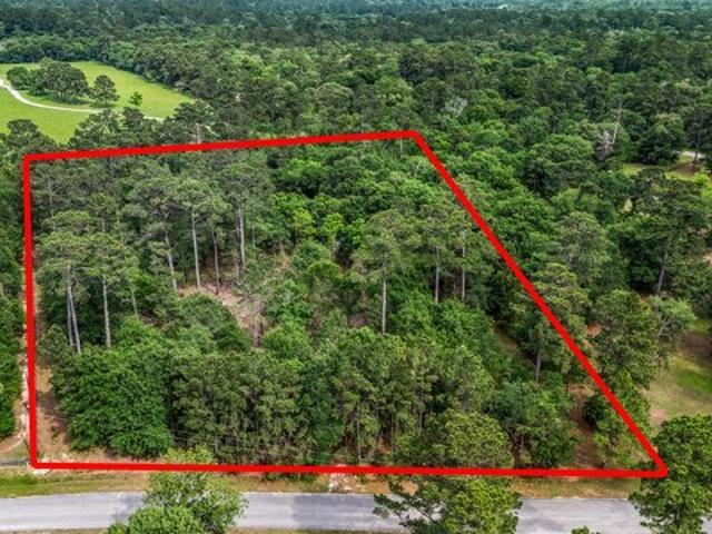 26020 Pine Shadows Dr, Hockley, TX 77447