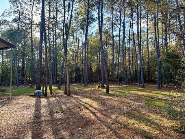 26024 Pine View Drive