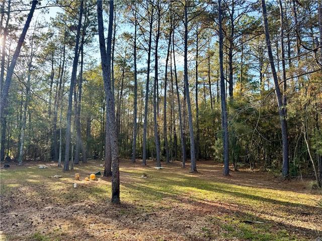 26024 Pineview Dr, Folsom, LA 70437 | MLS #2563