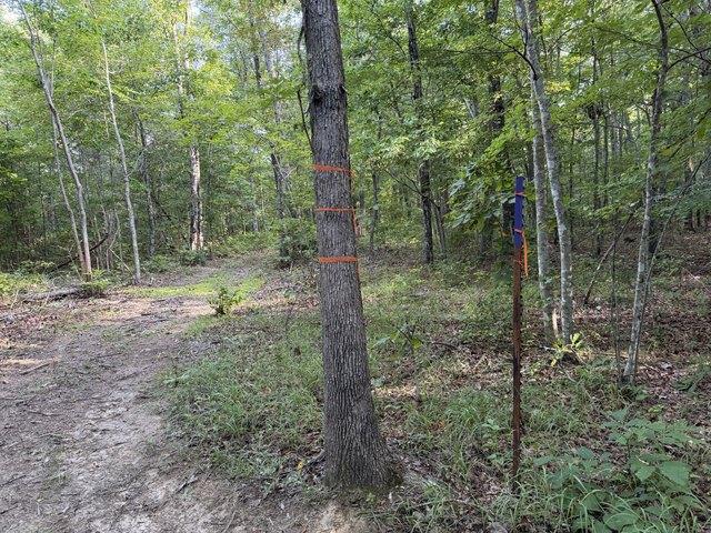 2603 Northcutts Cove Rd, Beersheba Springs, TN 37305