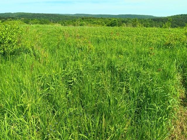 260 Boughton Rd, Worcester, NY 12197