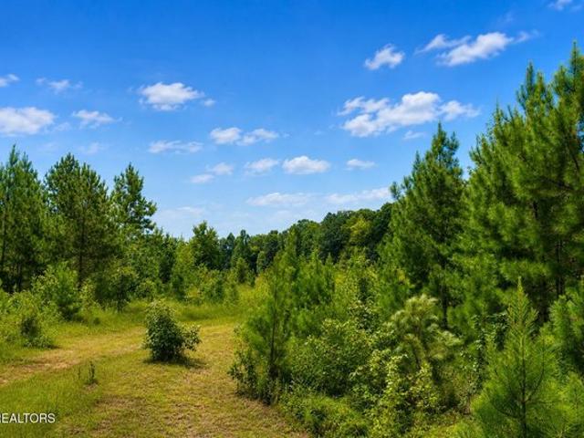 260 Buckner Rd, Philadelphia, TN 37846