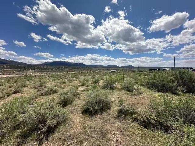 260 Buds Way, Parachute, CO 81635 MLS# 20242285