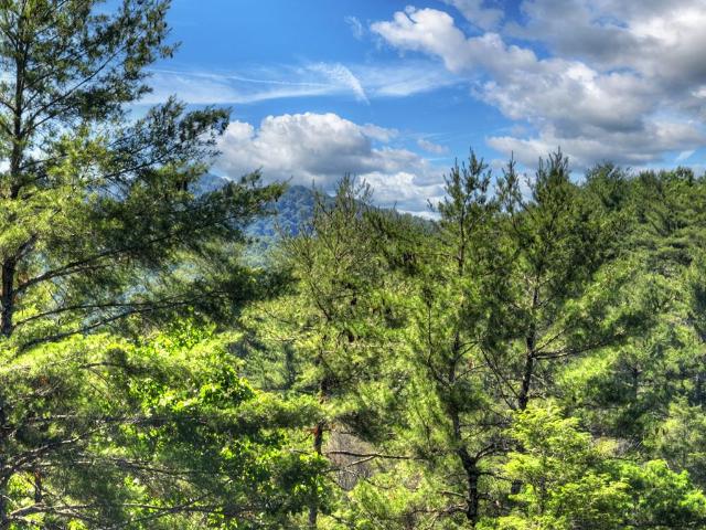 260 Down Under Rd, Blue Ridge, GA 30513 | MLS #430023
