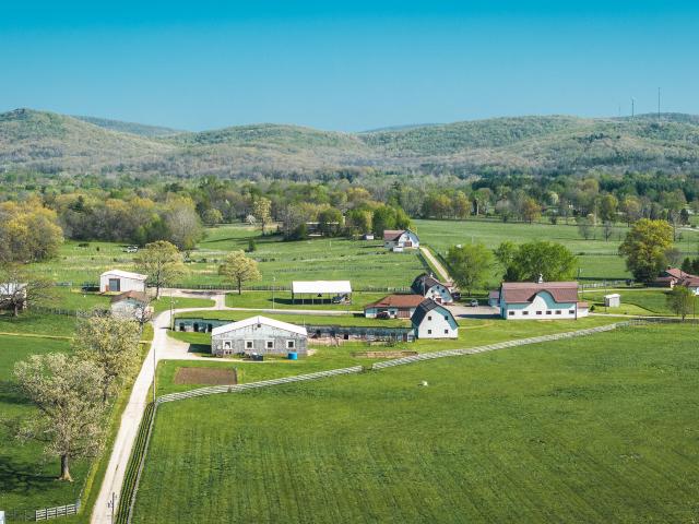 260 Kentucky Derby Lane