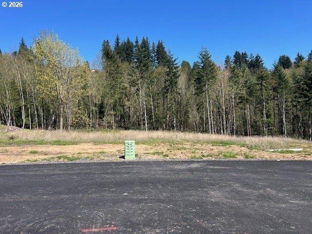 260 Livingston Heights Dr, Longview, WA 98632
