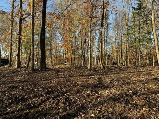 260 Lineport Rd, Bumpus Mills, TN 37028