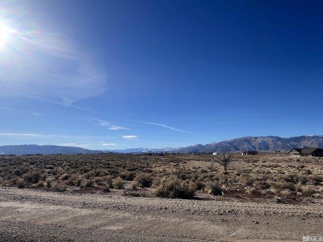 260 Mount Grant, Smith, NV 89430