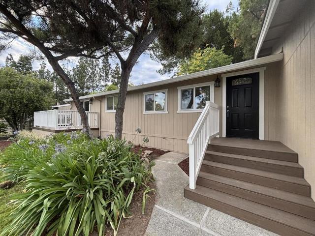 260 Mountain Springs Drive 260