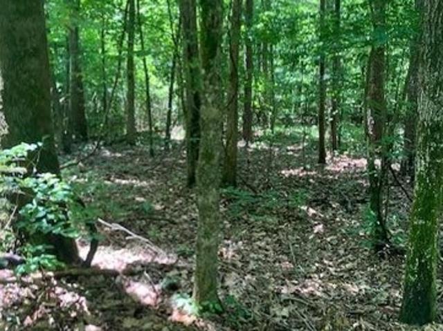 260 Madison St # 410, Fredericktown, MO 63645