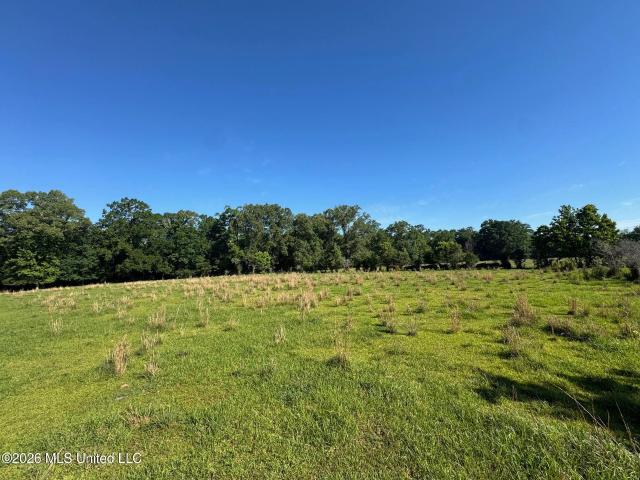 260 Mitchell Chapel Road